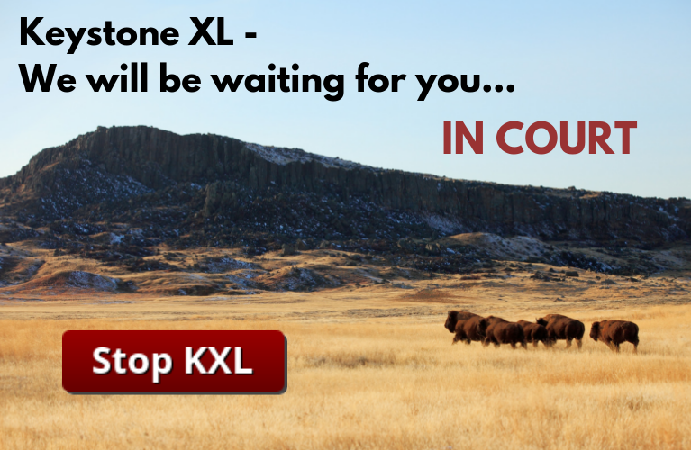 Native American Rights Fund (NARF): Nonprofit Indian Law Firm : Native ...