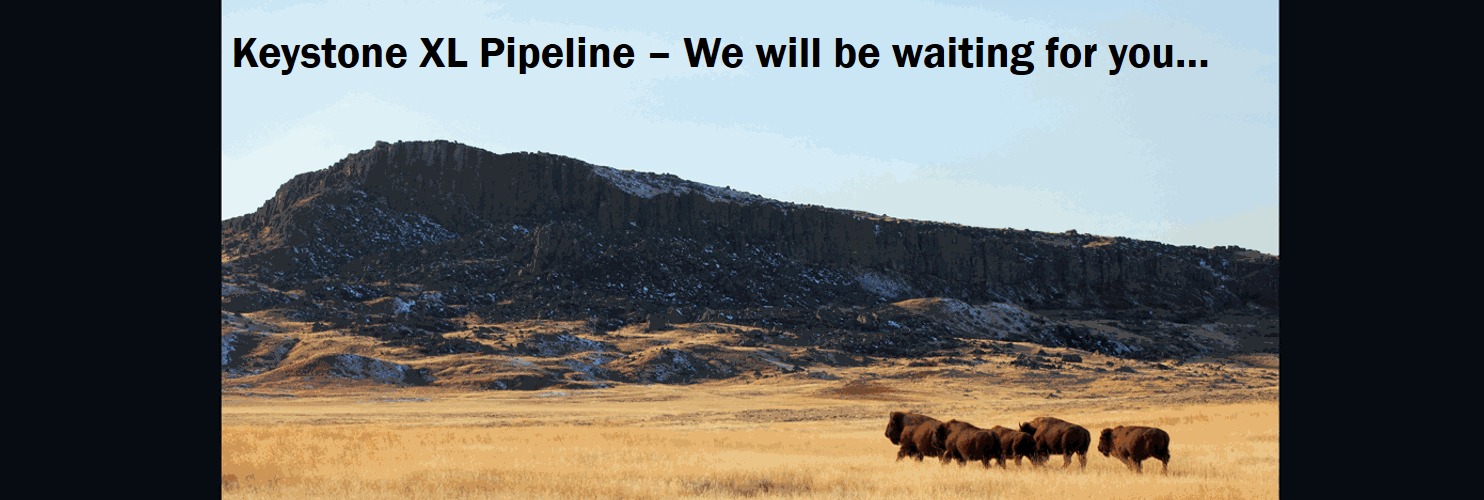 Native American Rights Fund (NARF): Nonprofit Indian Law Firm : Native ...