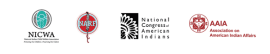 Brackeen v. Haaland - Indian Child Welfare Act - Native American Rights ...