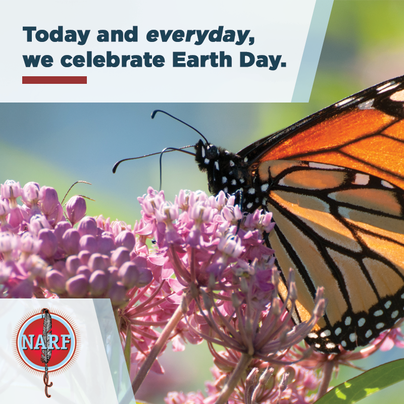 Environmental Protection & Climate Change Archives - Native American ...